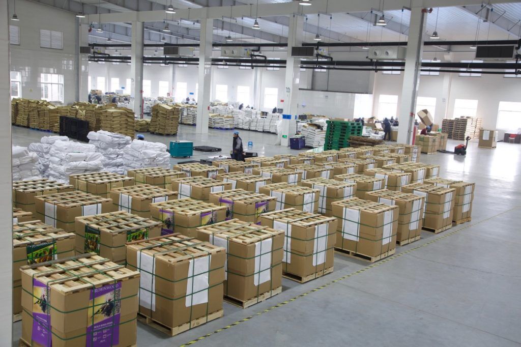 Kraft Paper Poly Bags | Strong & Green Packaging