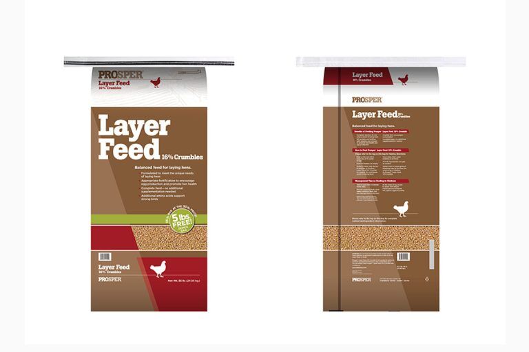 High-Quality Chicken Feed Bags | Food-Safe & Durable Packaging